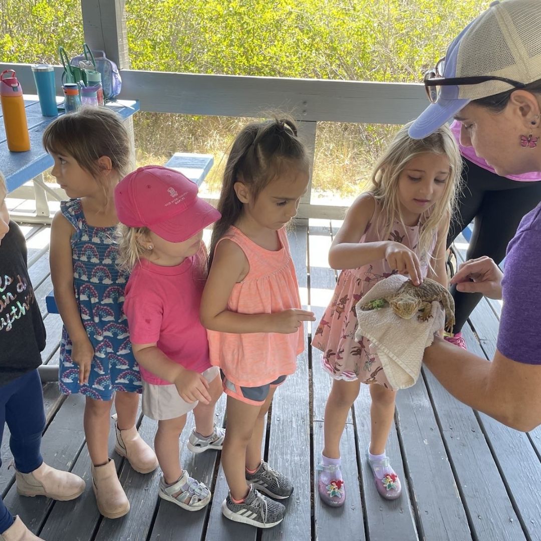 Preview of 2023-2024 at Apollo Academy – Apollo Academy | Tampa | An ...